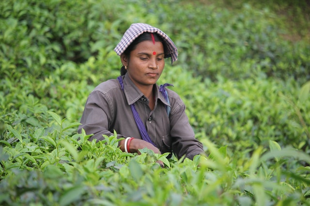 India – Insider Journeys