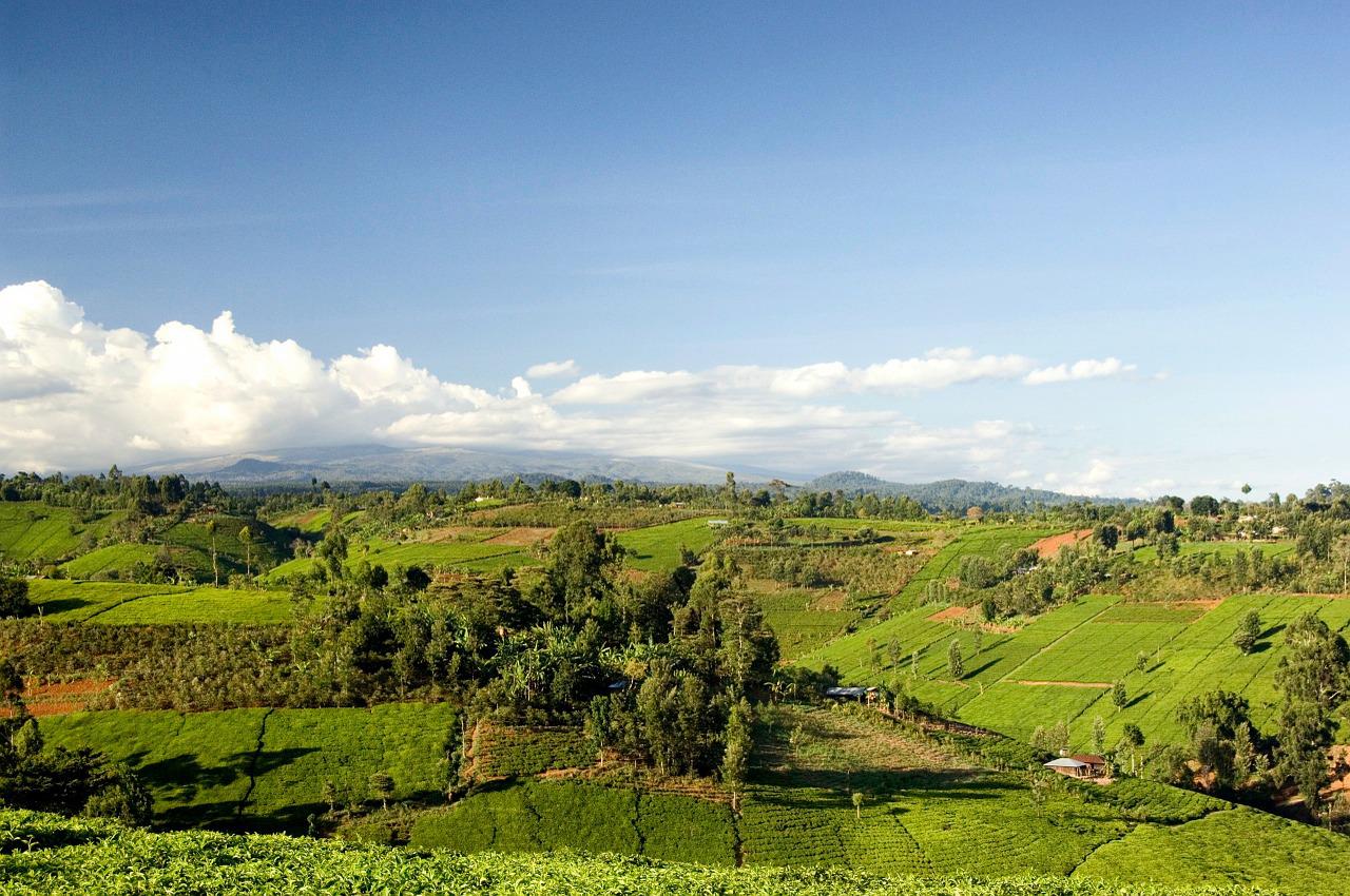 Kenya – Insider Journeys